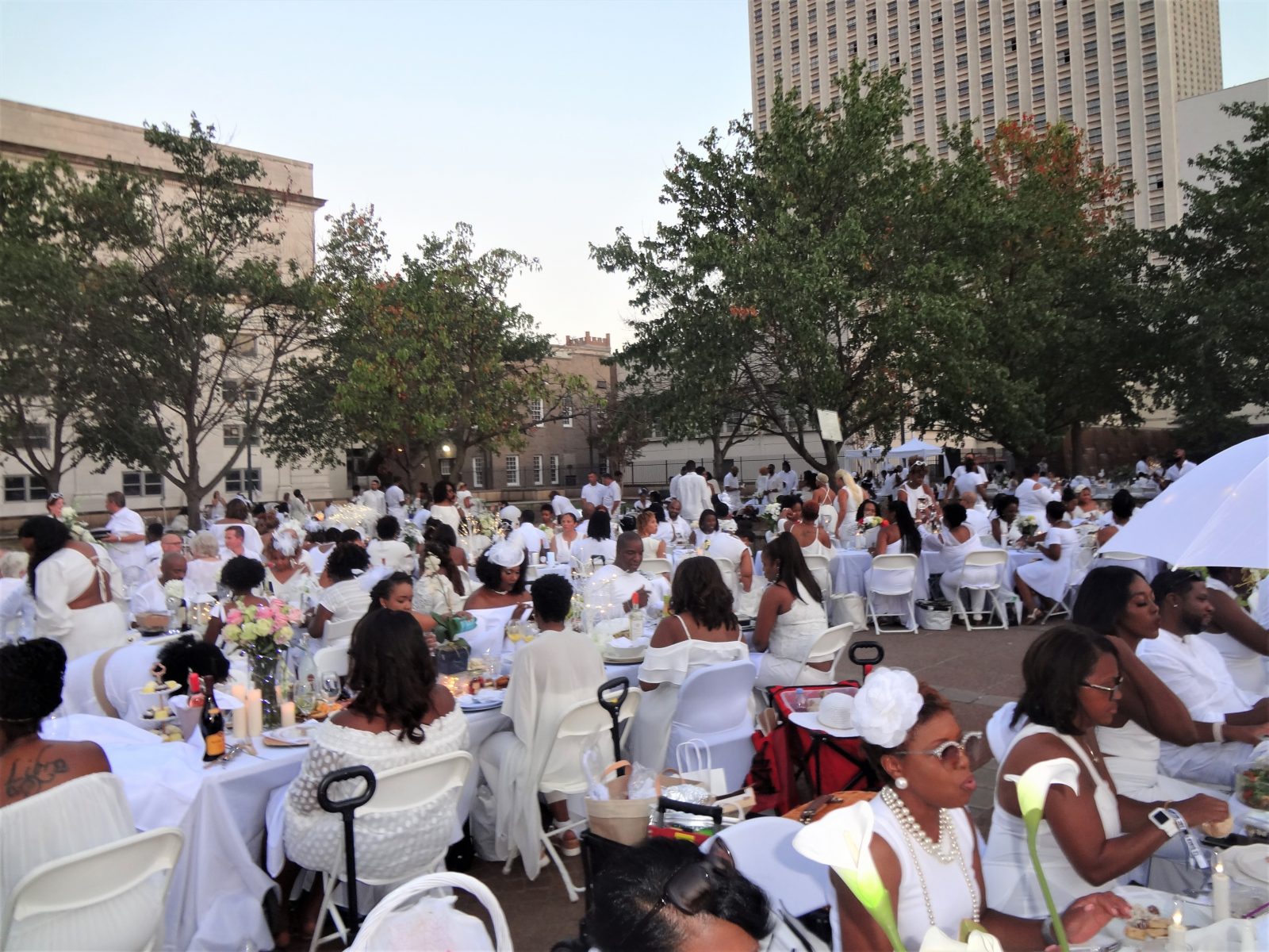 Inside Dîner en Blanc: A First Timer's Guide for this Amazing All-White ...